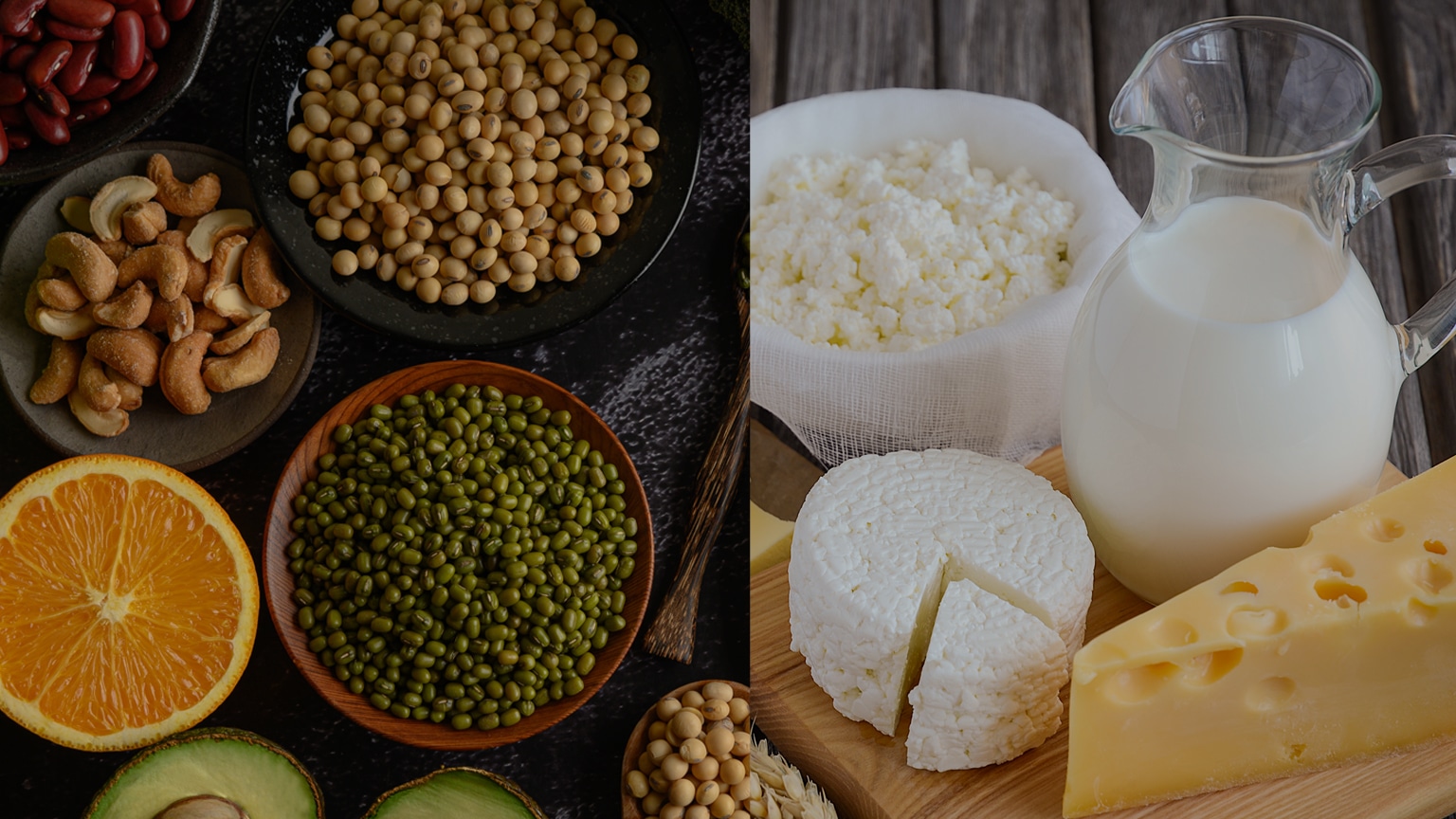 Plant Based Proteins VS Dairy Proteins - International Protein